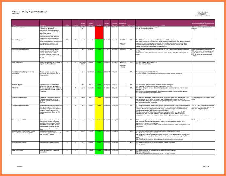 Testing Daily Status Report Template