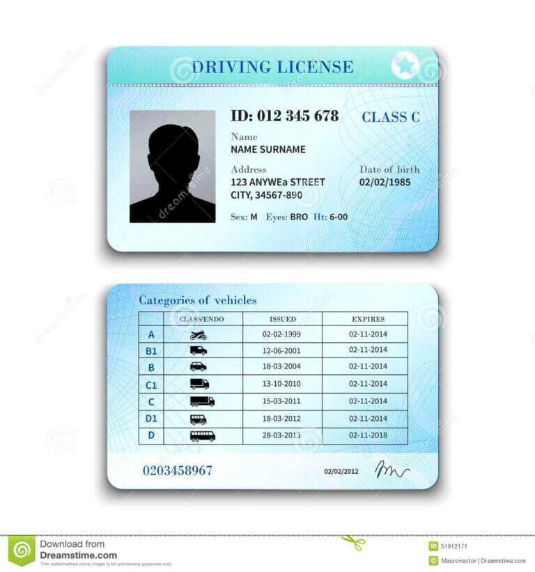 Driver License Illustration Stock Vector Illustration Of Pertaining 