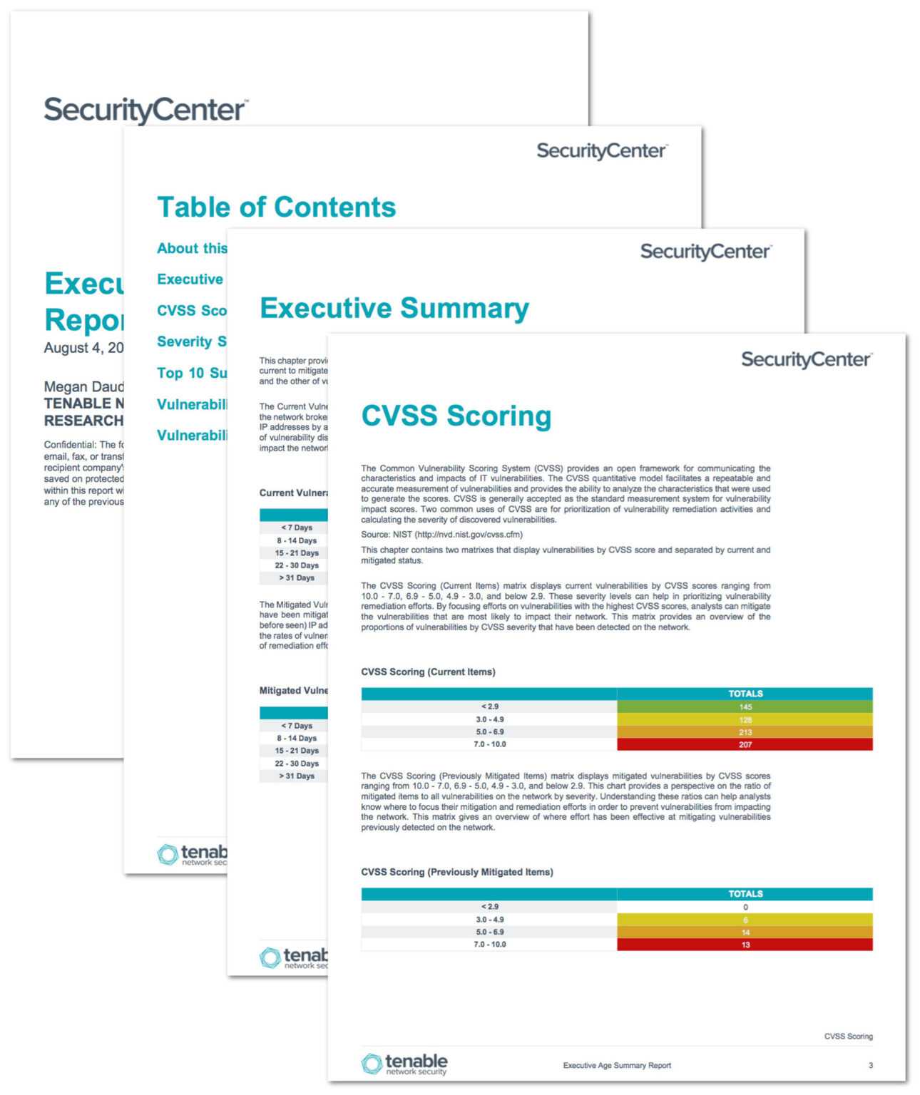 Executive Age Summary Report Sc Report Template Tenable Within Executive Summary Report 