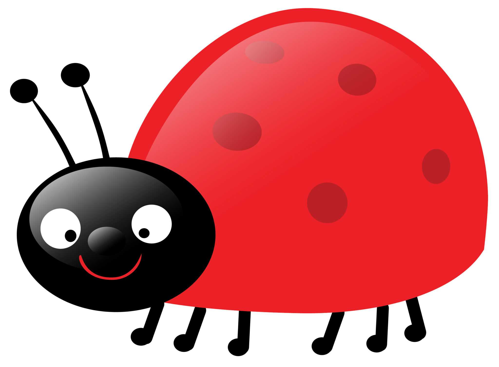 Blank Ladybug Template