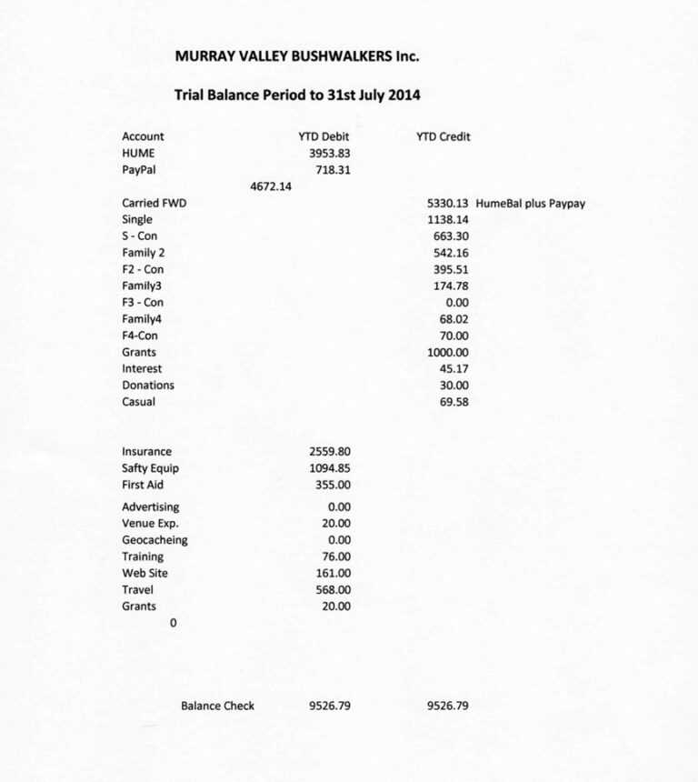 Free L Treasurer Report Template Treasurers For Non Profit For Treasurer s Report Agm Template