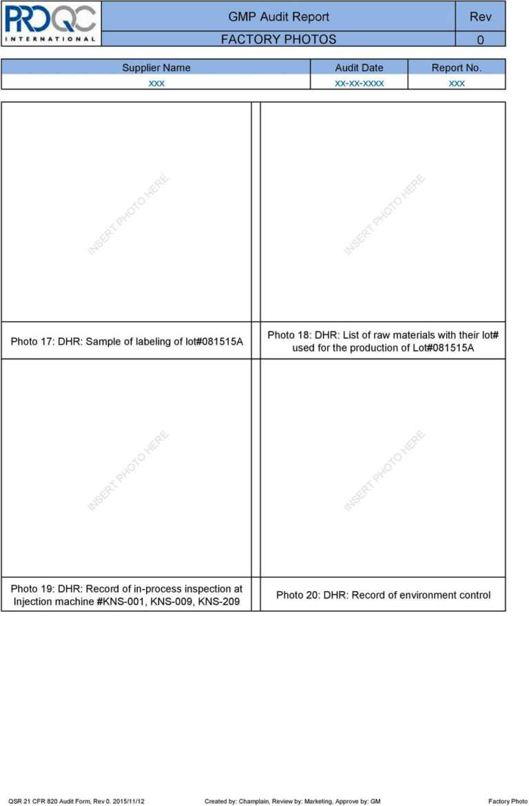 Gmp Audit Report. * Example Report * - Pdf Free Download pertaining to ... Gmp Audit Report. * Example Report * - Pdf Free Download pertaining to ...
