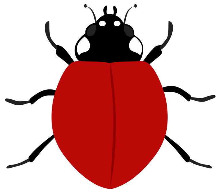ladybird-template-ladybird-powerpoint-template-backgrounds-within
