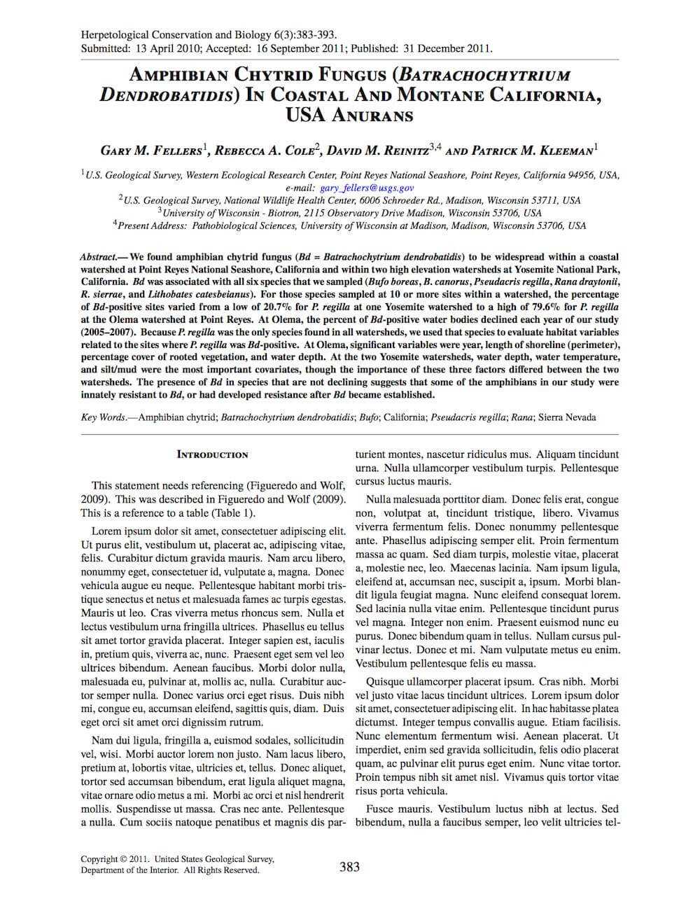 Template Latex Report