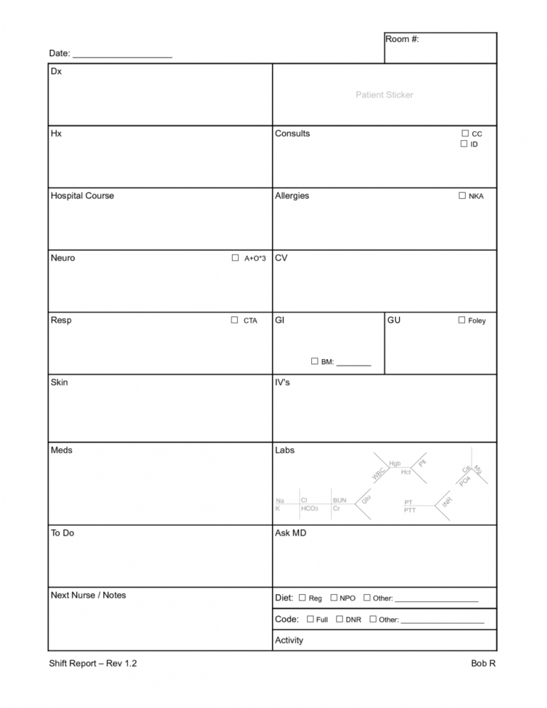 Charge Nurse Report Sheet Template Awesome Inspirational Template Riset
