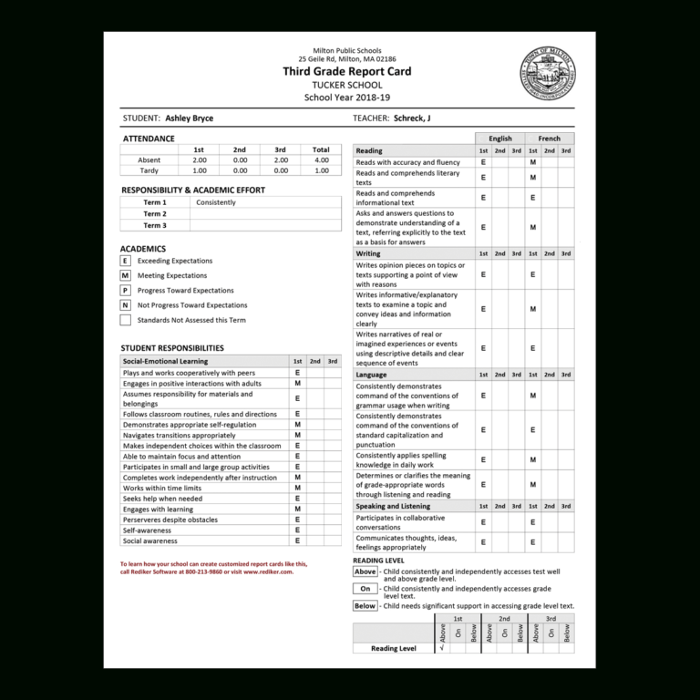 Summer School Progress Report Template Summer School Progress Report Template